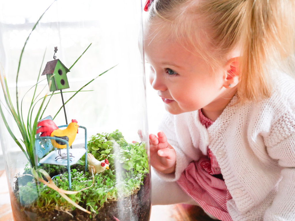 Kids Craft: DIY Terrarium - Happily Eva After